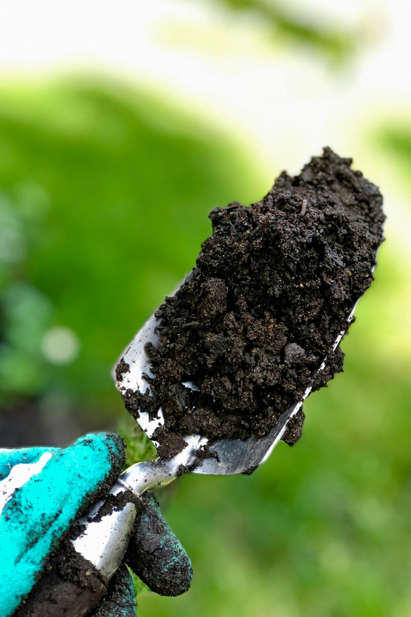 Sure Green Lawn Fertilizer